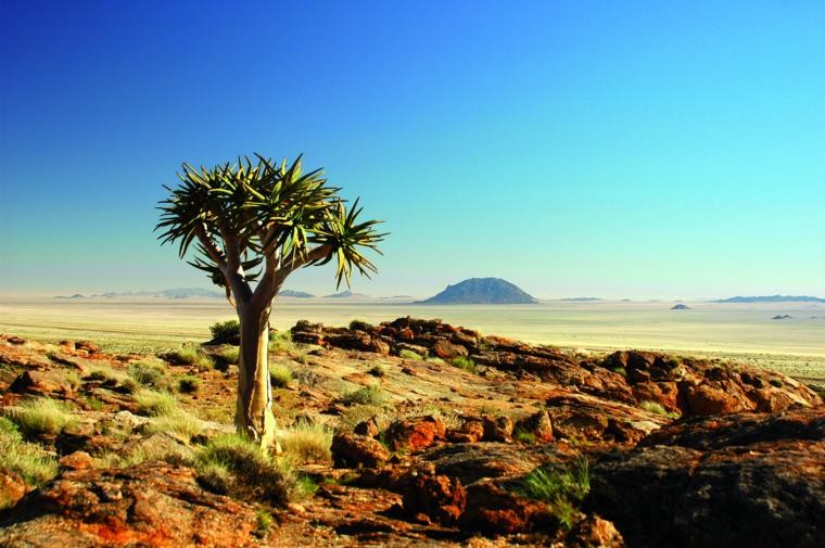 11-Day Namibia to Cape Town Overland Camping Safari Package