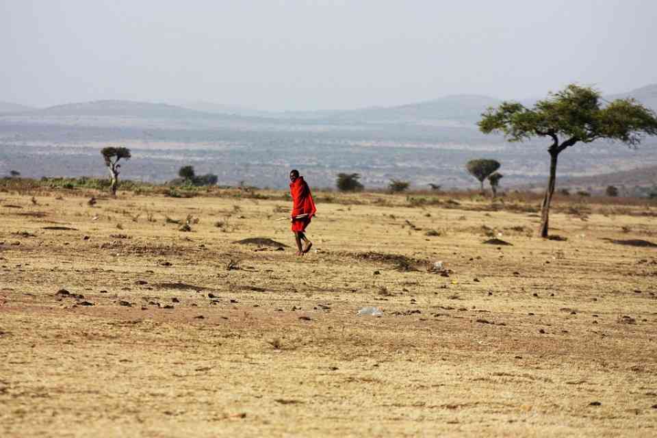 8-Day Kenya Budget Safari: Masai Mara & Best Parks Lodge Tour