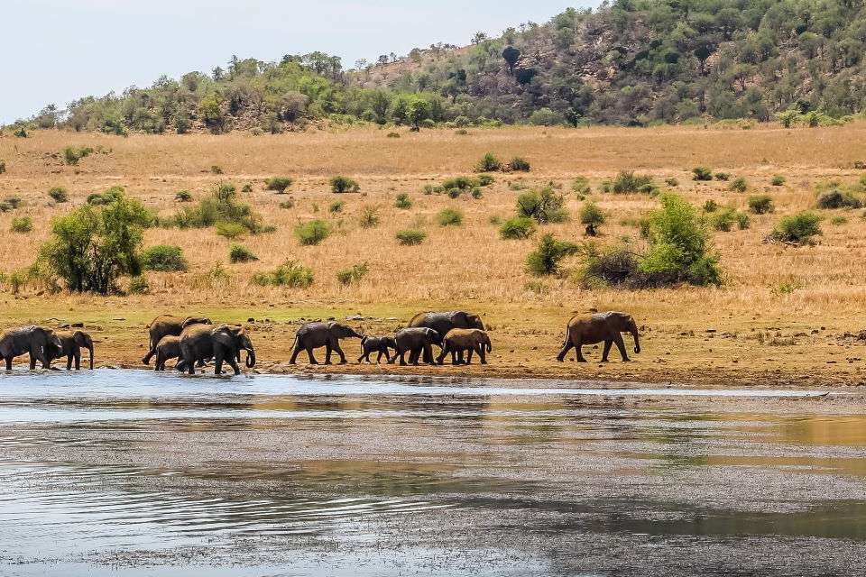 Big 5 Pilanesberg Safari Day Tour: Pilanesberg National Park