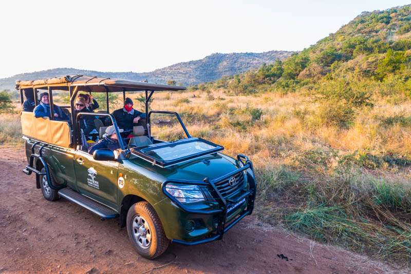 3 Day Pilanesberg Safari - South Africa
