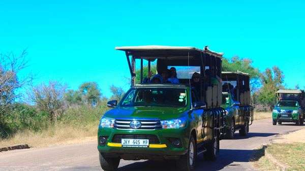 Kruger National Park Safari Tented Camping Adventure