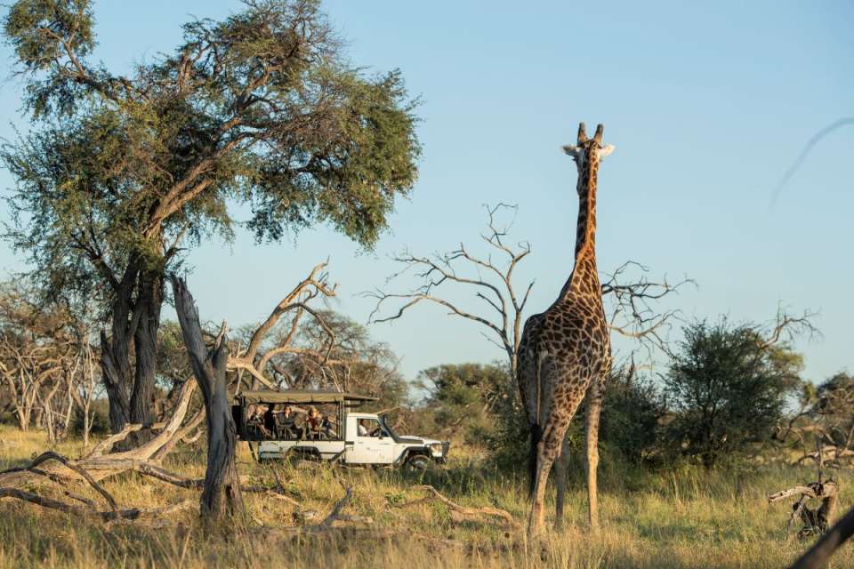 Botswana Safari: Okavango Delta & Kazuma Pans Chobe