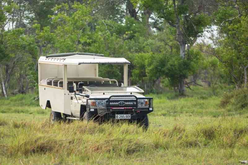 Botswana Safari: Mababe, Moremi & Okavango Delta Safaris