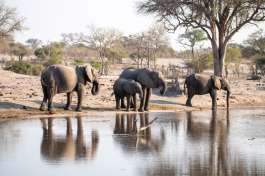 Botswana Safari: Mababe, Moremi & Okavango Delta Safaris