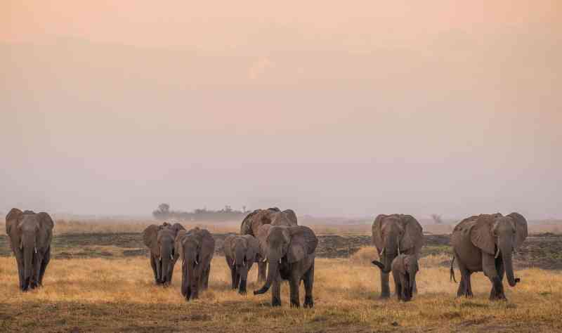 Luxury Three Country African Safari - Private Concessions